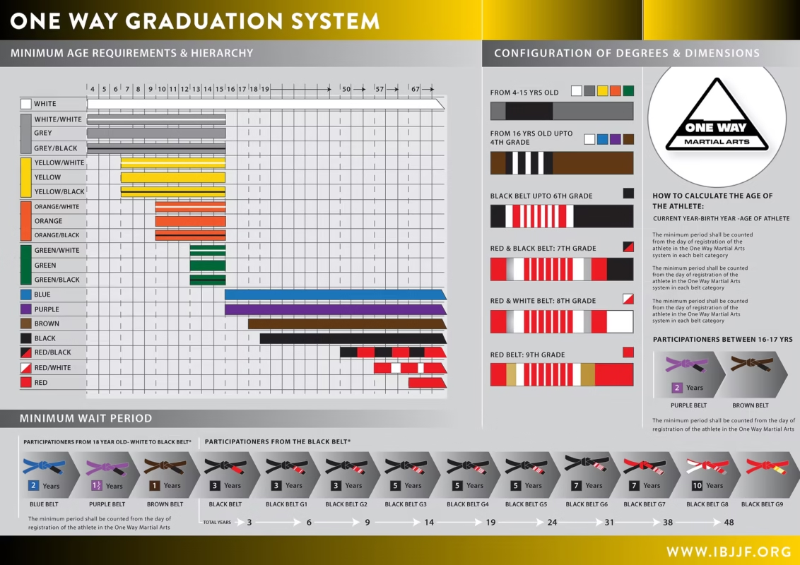 BJJ Belt System: All Ranks, Timelines & Requirements (2026)