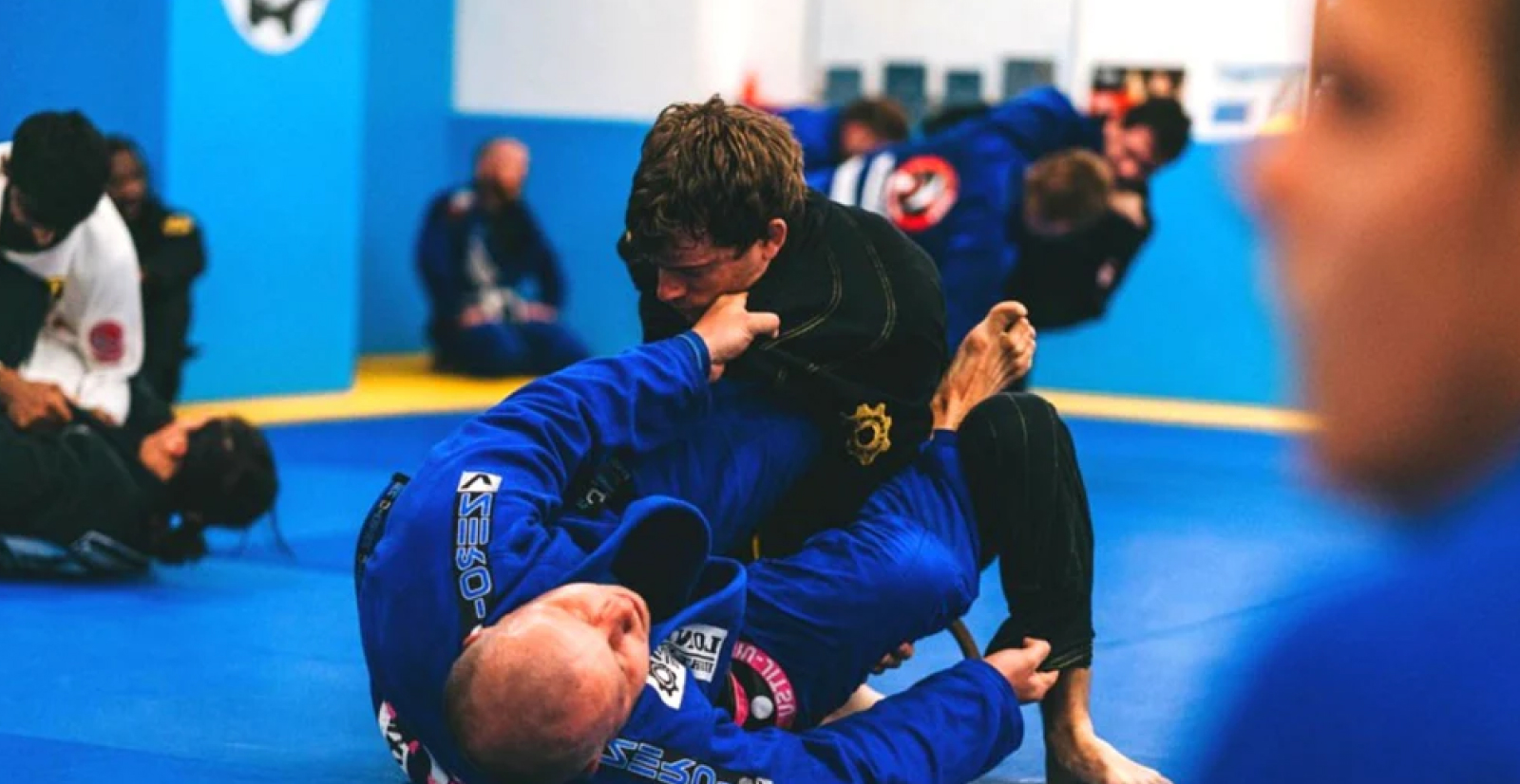 7 Harsh Truths: Why Blue Belts Quit BJJ (And How to Survive)